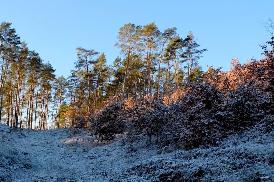 Ortho Ground Clear Mixing Instructions | Easy Guide