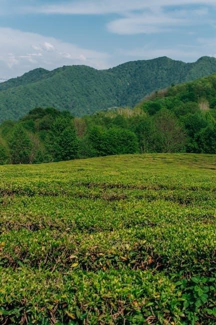 Hills Biome Feeding Guide: Expert Tips for Your Needs